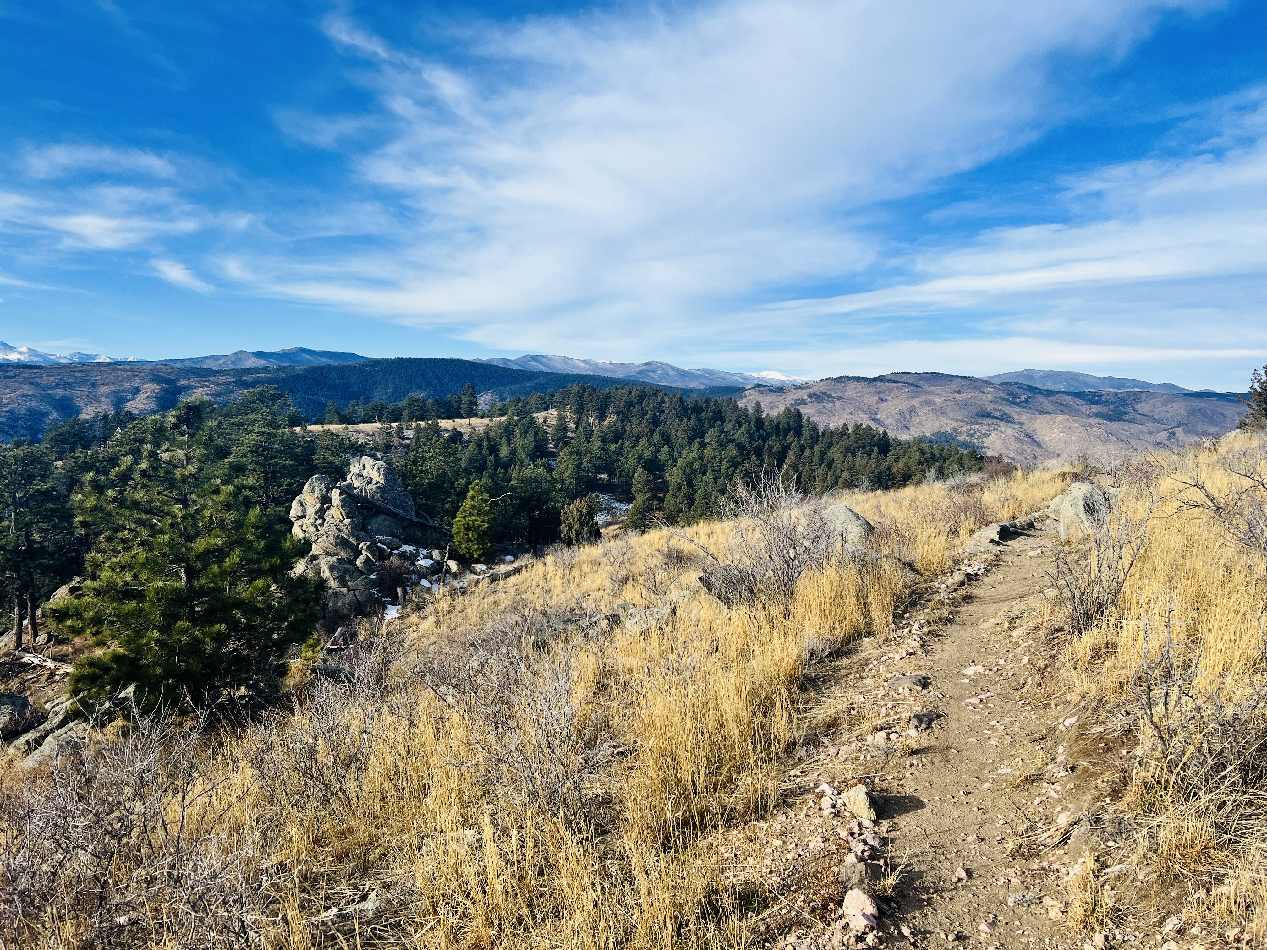 Nature-Based Therapy – Cat Stone